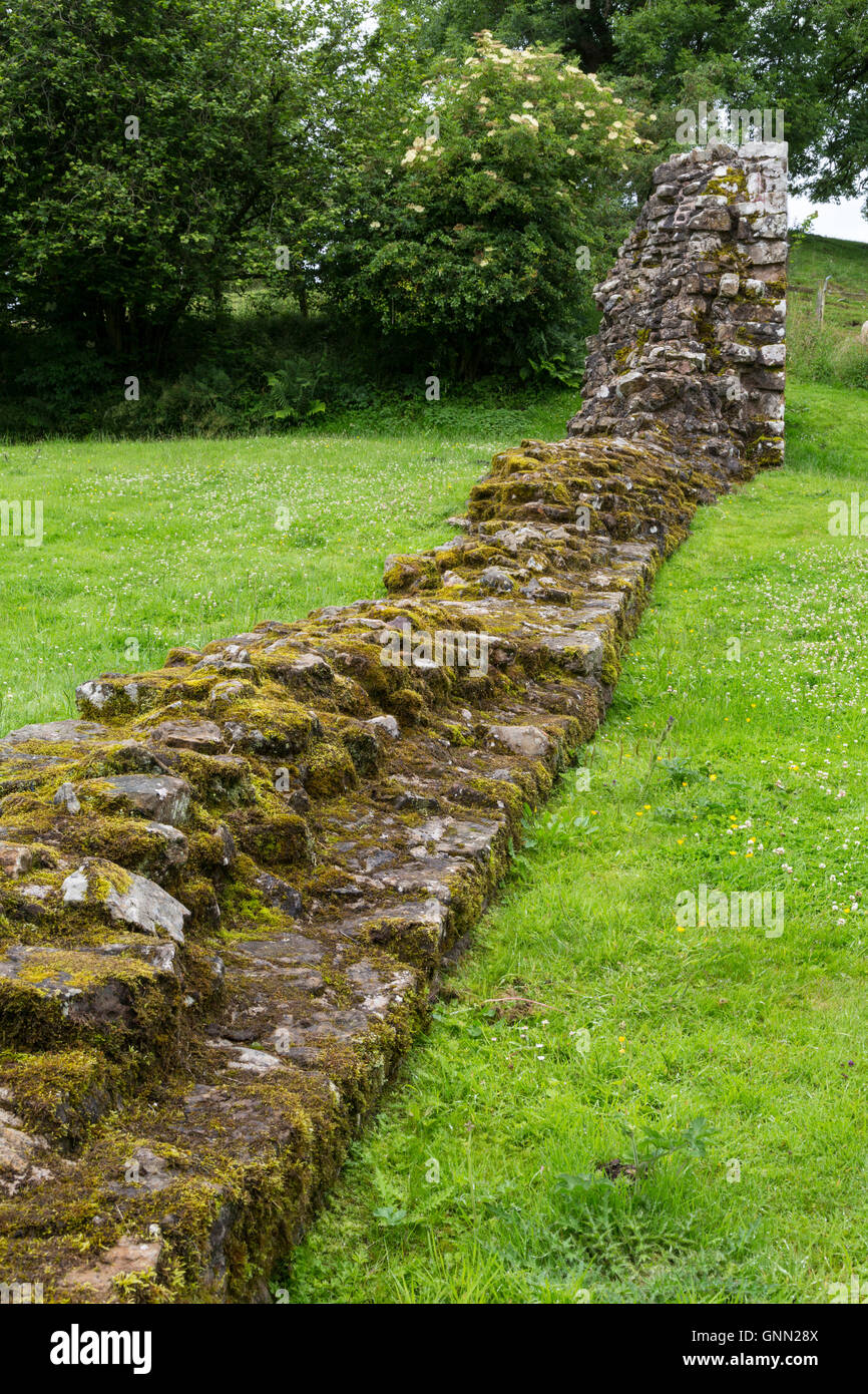 Hare Hill, Cumbria, England, UK. A Section of Hadrian's Wall Rebuilt in ...