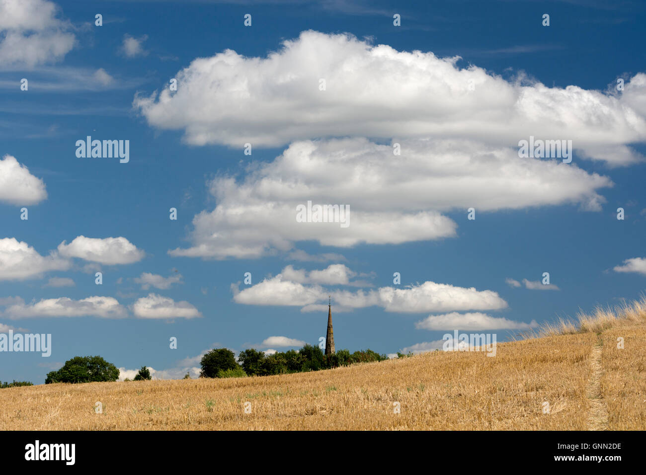 Distant view of Bickenhill church spire with puffy white clouds in sky ...