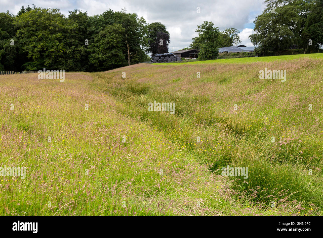 Roman vallum hi-res stock photography and images - Alamy