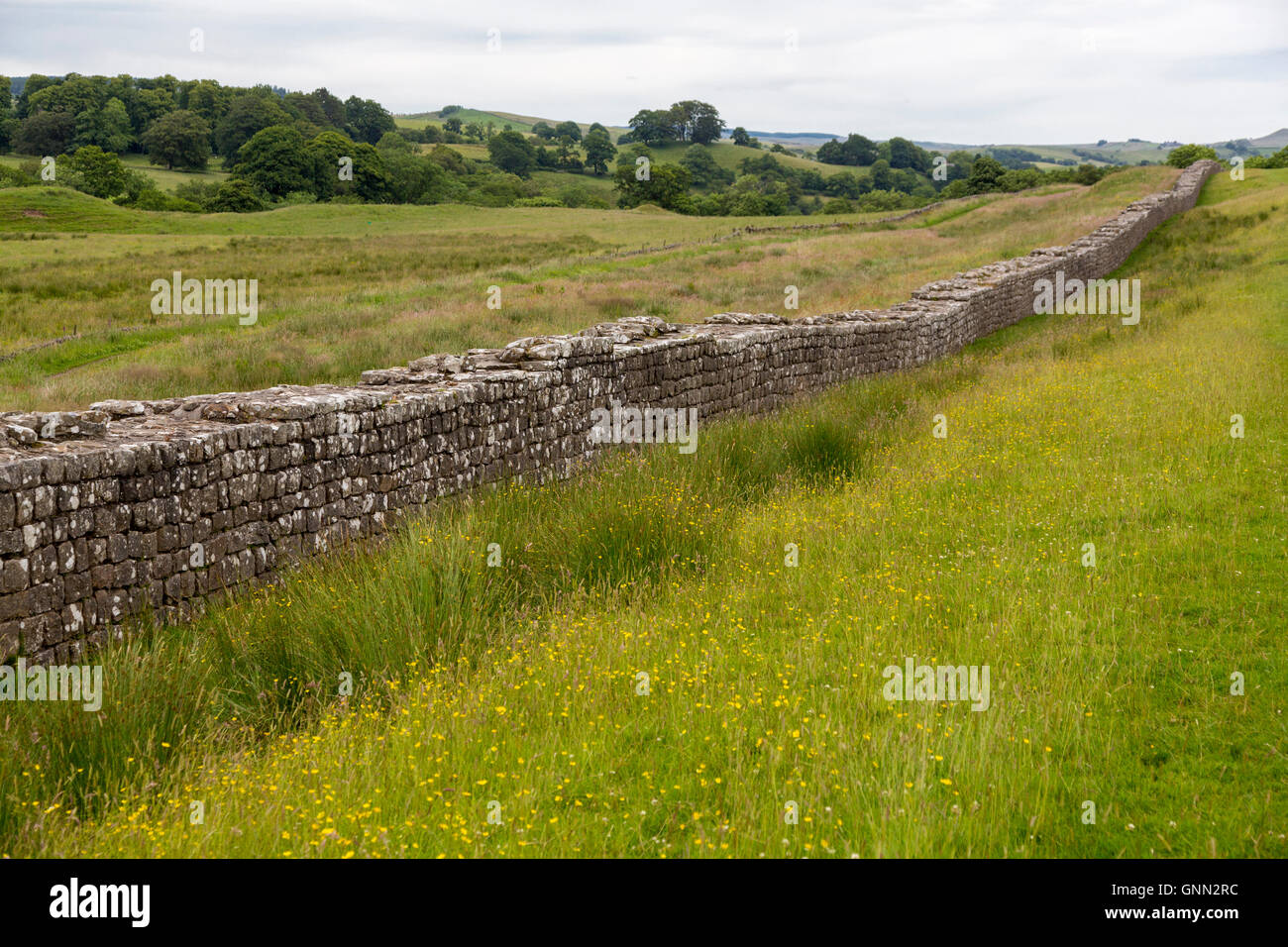 Cumbria, England, UK. Hadrian's Wall Heading Eastward from Birdoswald ...