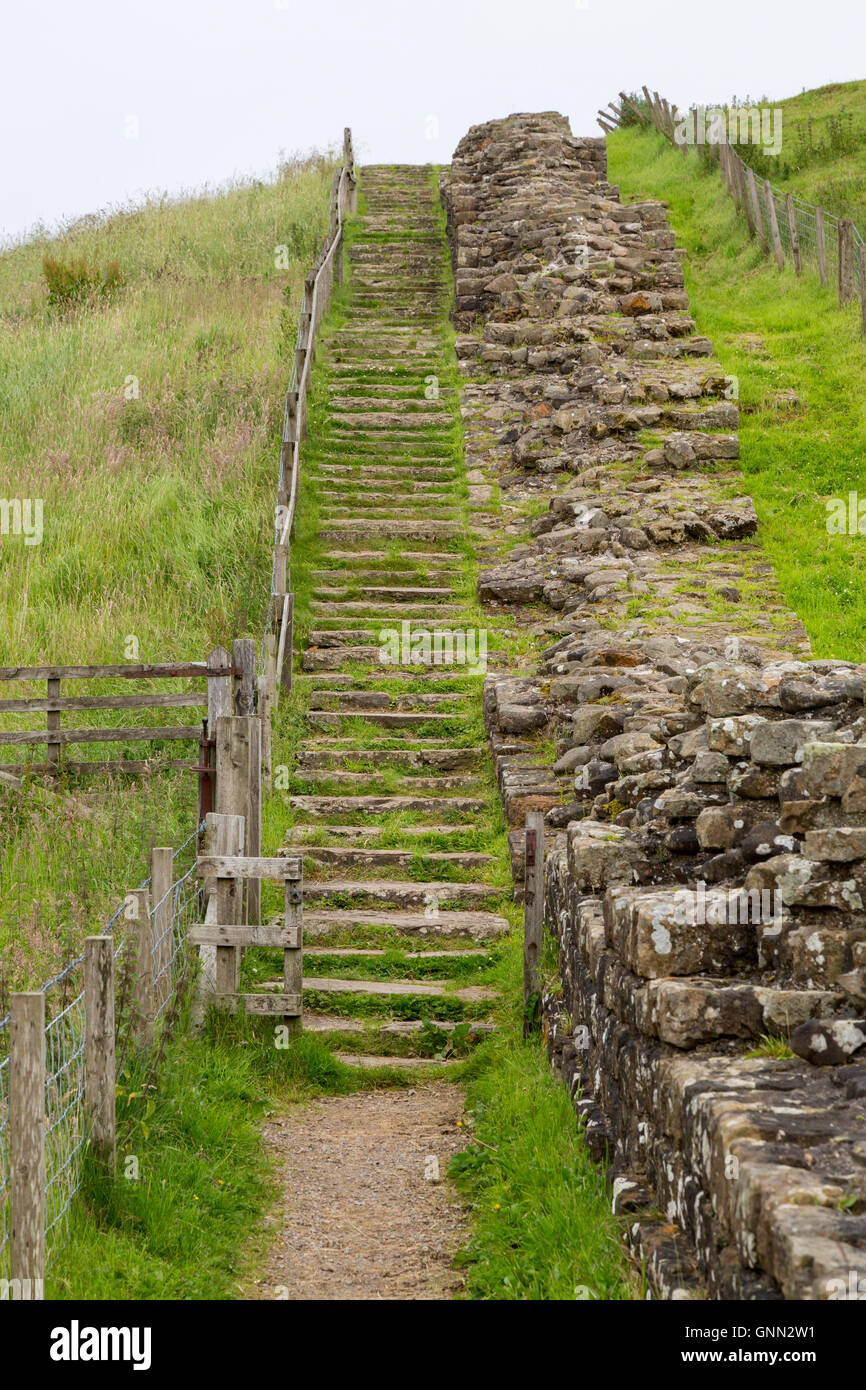 Cumbria, England, UK. Hadrian's Wall and Footpath at Willowford Farm ...