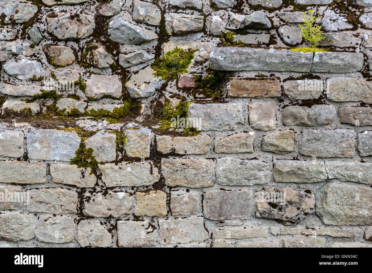 Northumberland, England, UK. Vindolanda Roman Fort, Wall Construction ...