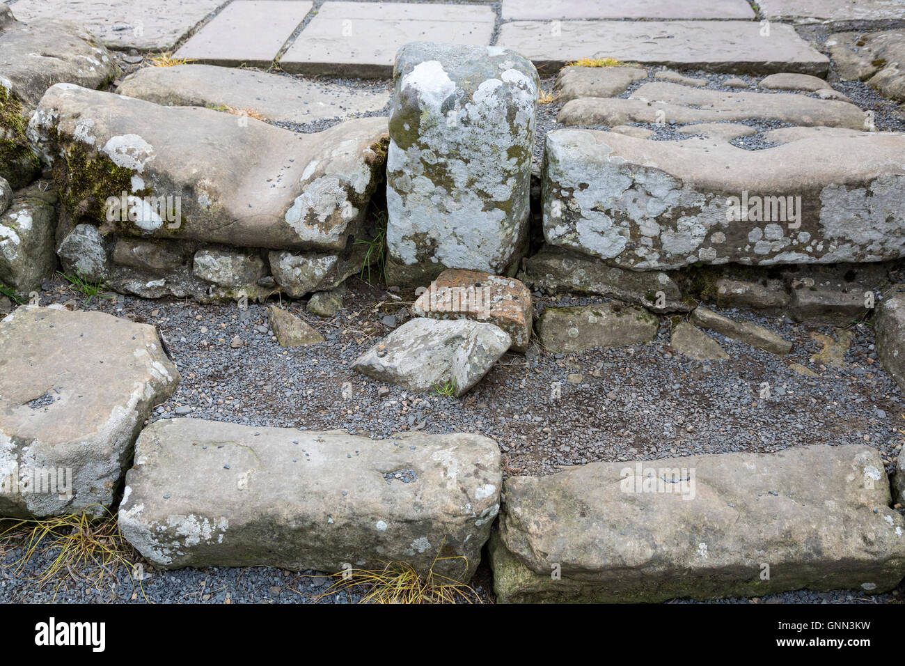 Northumberland, England, UK. Wagon and Chariot Wheel Ruts in Stone at ...