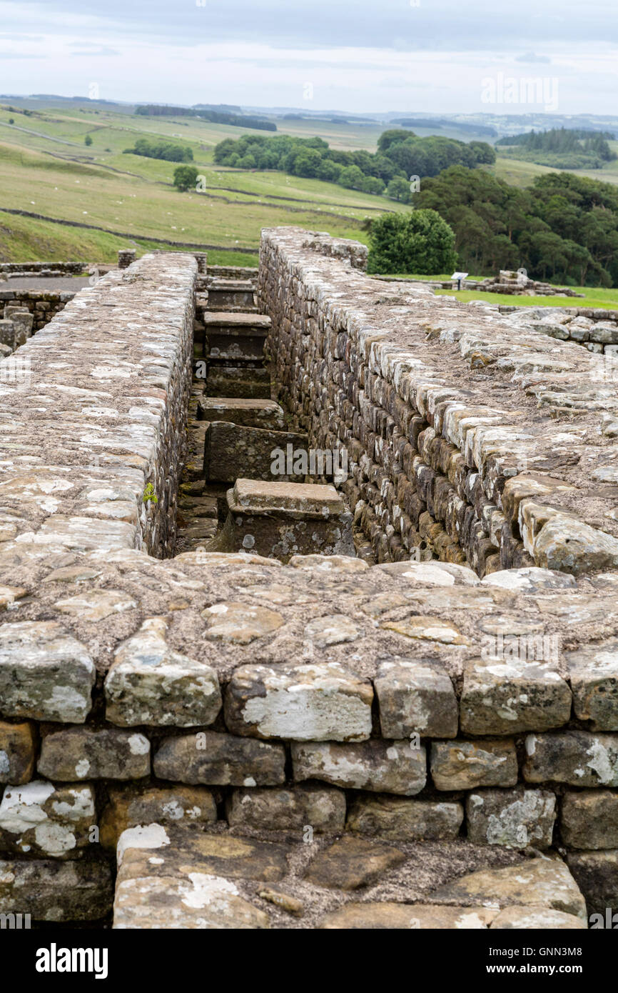 Northumberland, England, UK. Granary, Showing Bases of Columns ...
