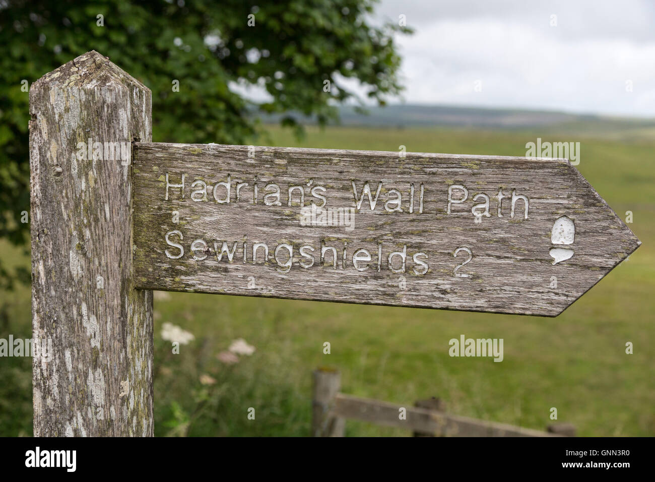 Hadrians wall path sign hi-res stock photography and images - Alamy