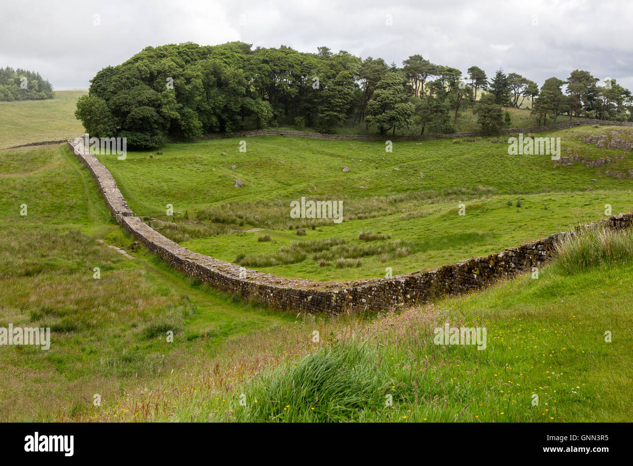 Hadrians wall landscape housesteads hi-res stock photography and images ...