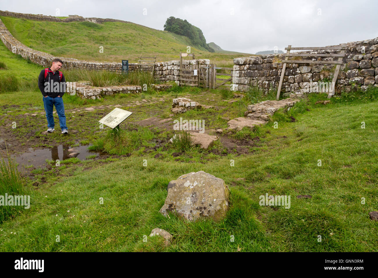 Northumberland, England, UK. Hiker Reading Explanatory Sign at Knag ...