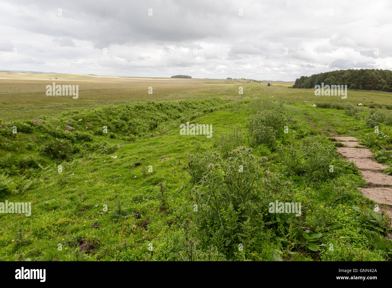 Defensive ditch hi-res stock photography and images - Alamy