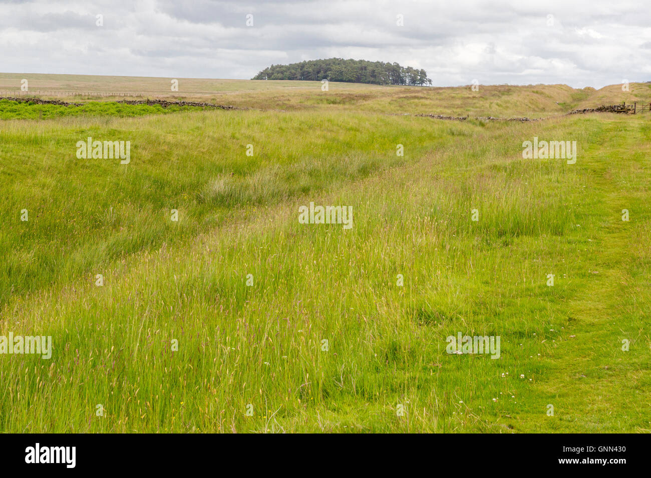 Northumberland, England, UK. Defensive Ditch on North Side of Hadrian's ...