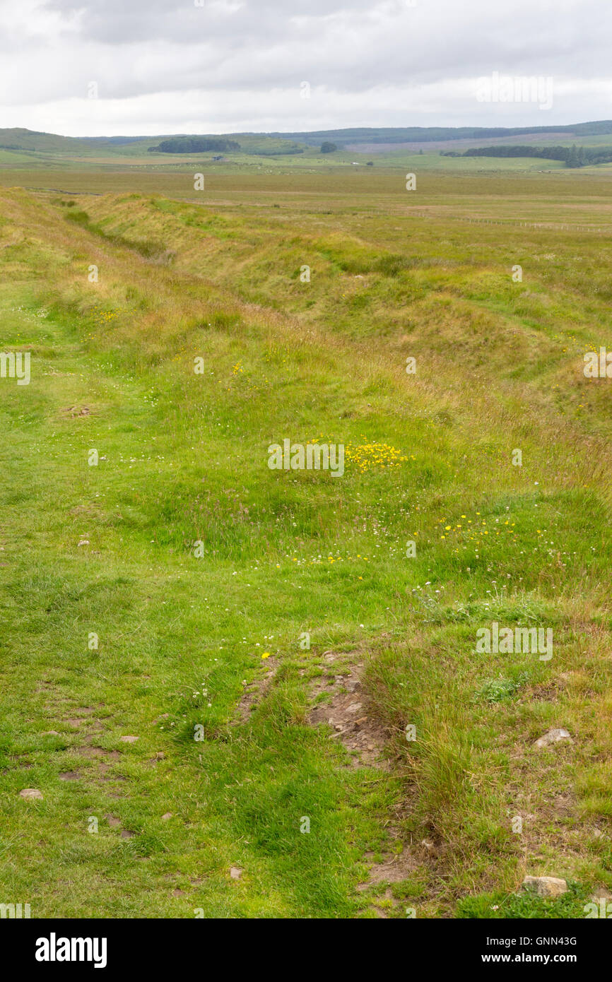 Northumberland, England, UK. Defensive Ditch on North Side of Hadrian's ...