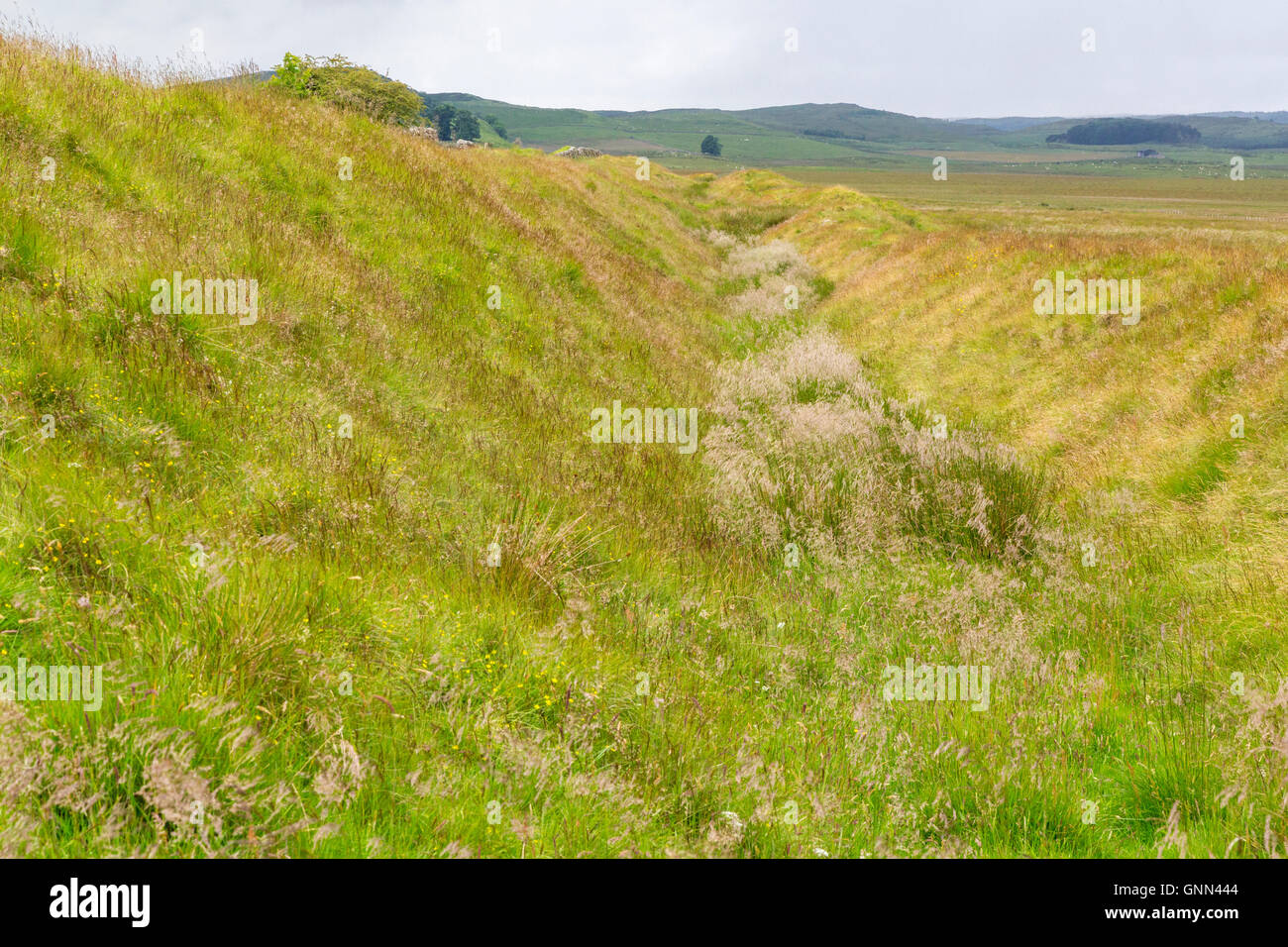 Northumberland, England, UK. Defensive Ditch on North Side of Hadrian's ...