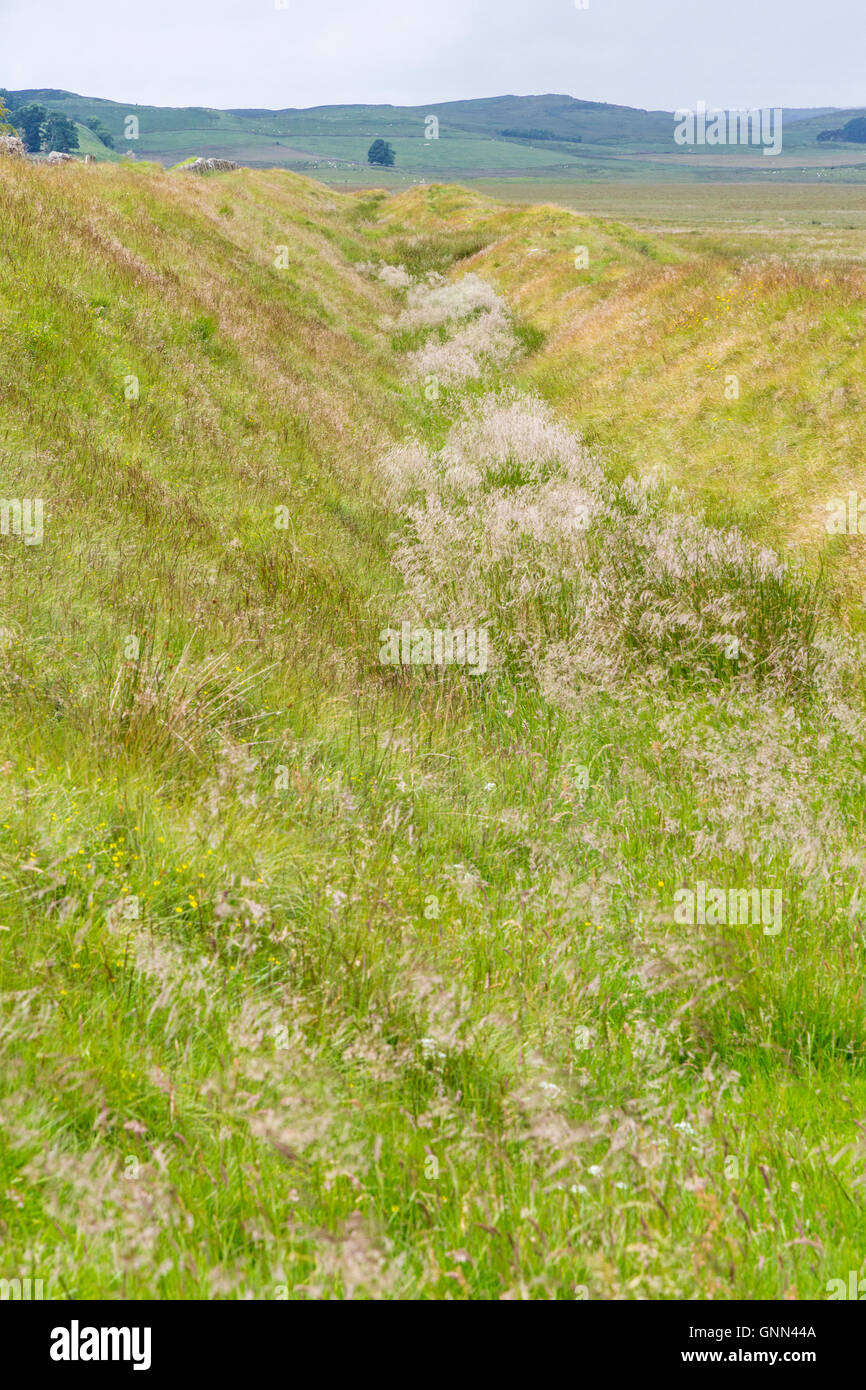Northumberland, England, UK. Defensive Ditch on North Side of Hadrian's ...