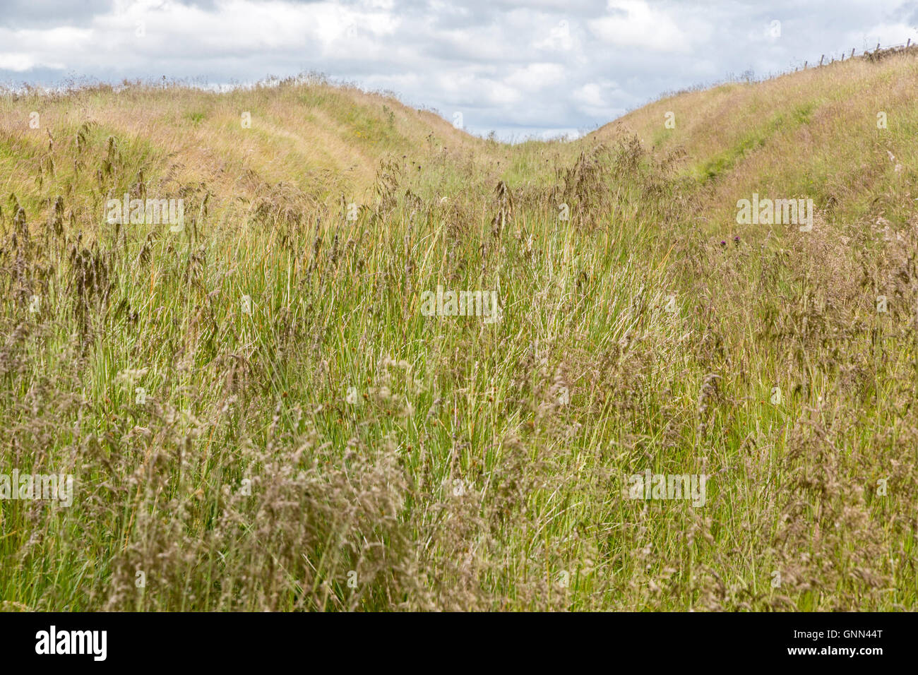 Northumberland, England, UK. Defensive Ditch on North Side of Hadrian's ...
