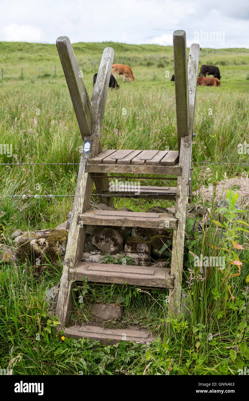 Temple of mithras carrawburgh hadrians wall hi-res stock photography ...