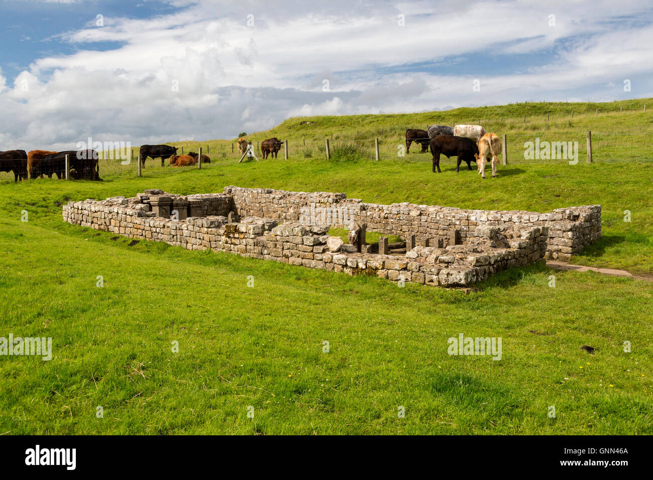Hadrians wall temple of mithras hi-res stock photography and images - Alamy