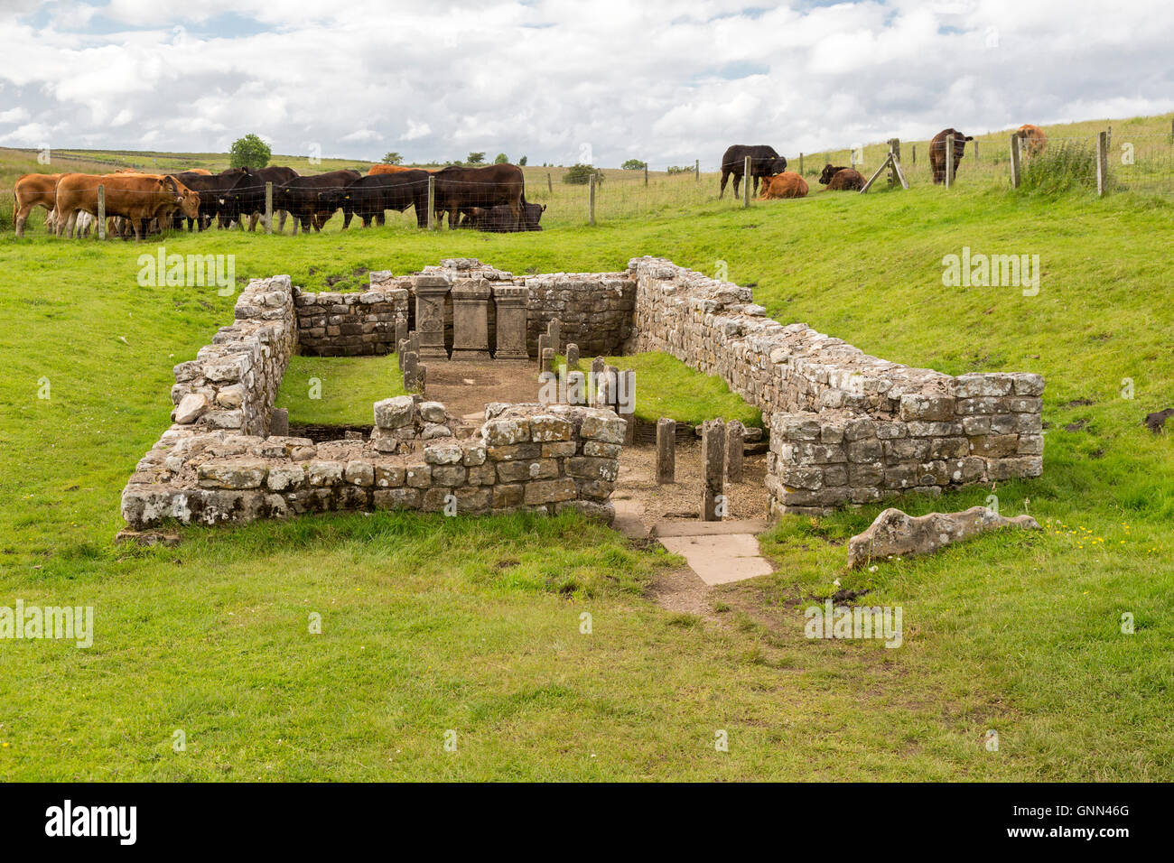 Temple of mithras hadrians wall hi-res stock photography and images - Alamy