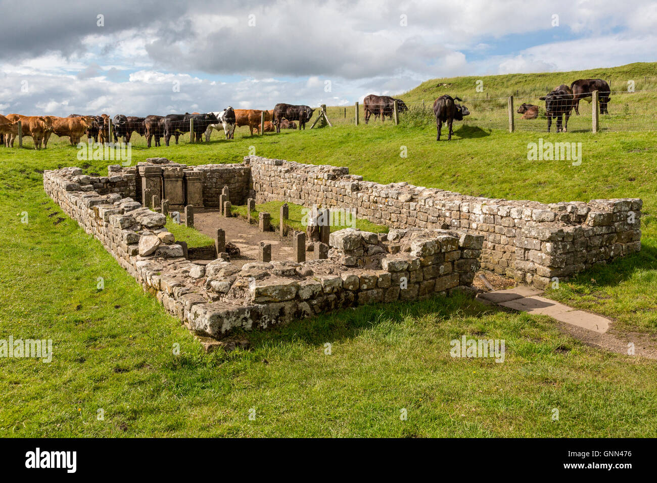 Mithras hi-res stock photography and images - Alamy