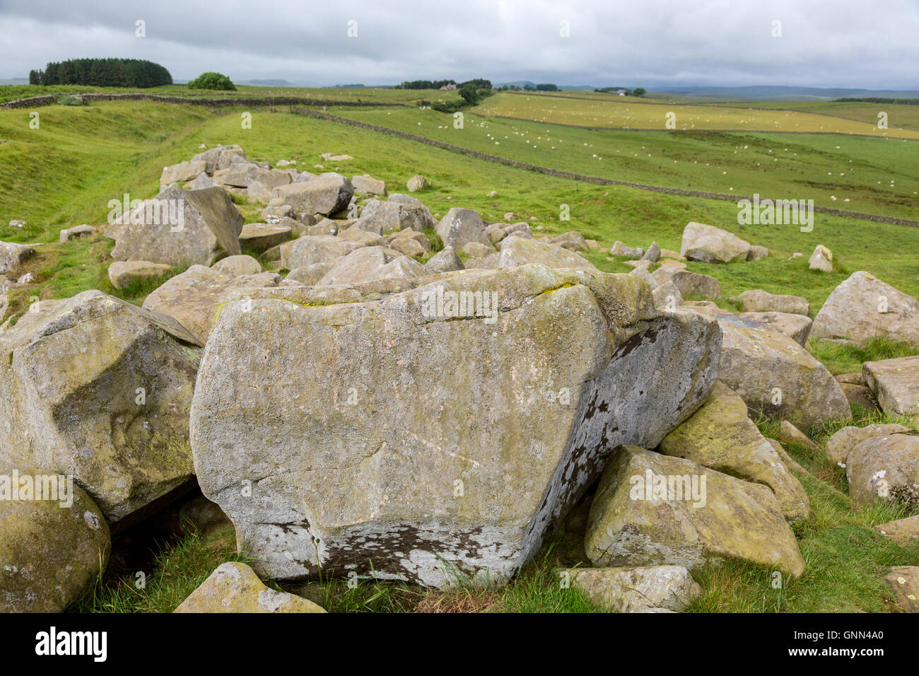 Northumberland, England, UK. Stone Blocks at Limestone Corner, near ...