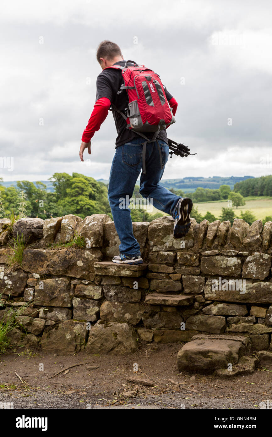 Man climbing step ladder hi-res stock photography and images - Alamy