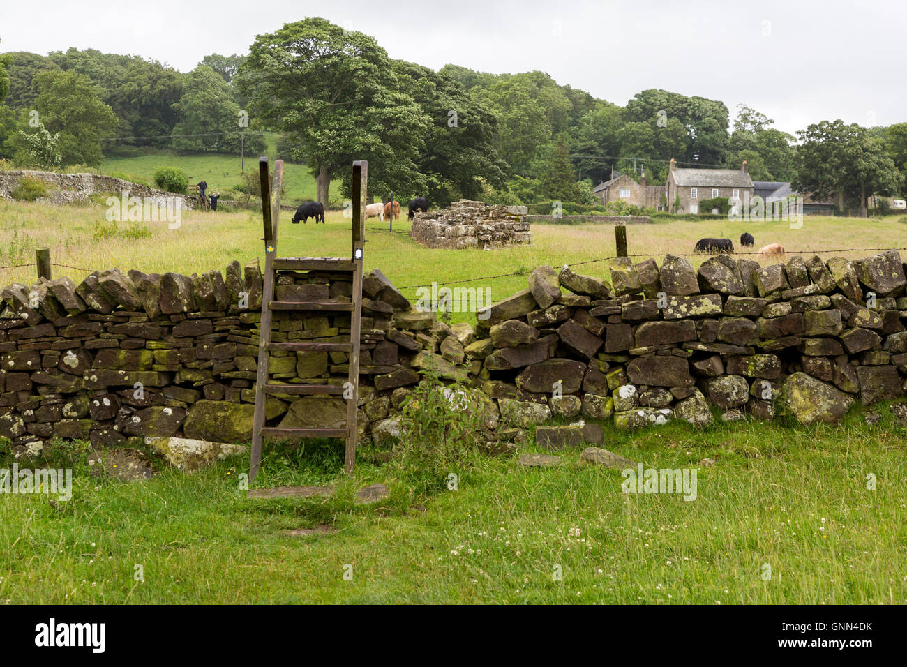Ladder over fence hi-res stock photography and images - Alamy