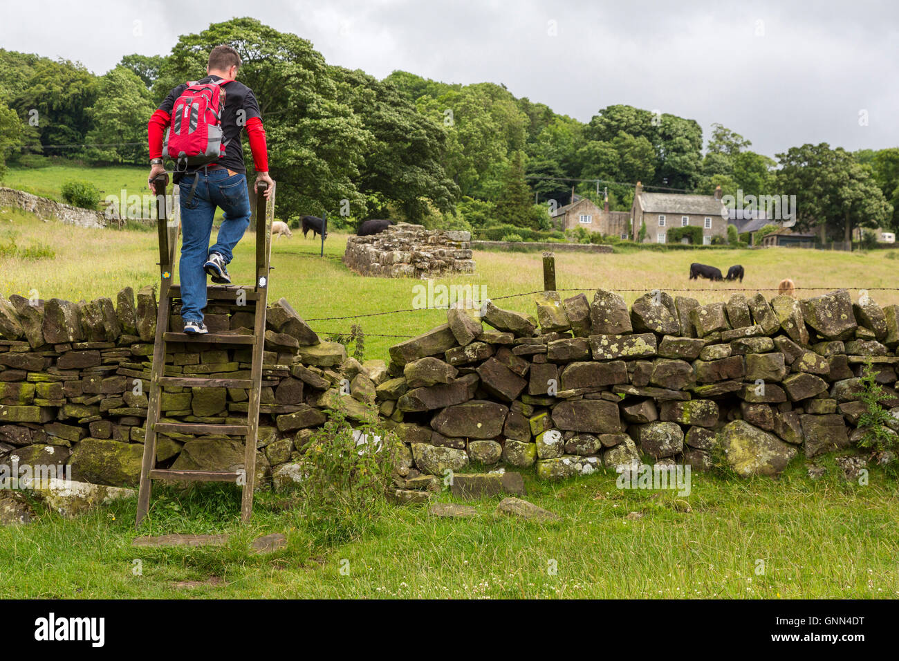 Ladder over fence hi-res stock photography and images - Alamy