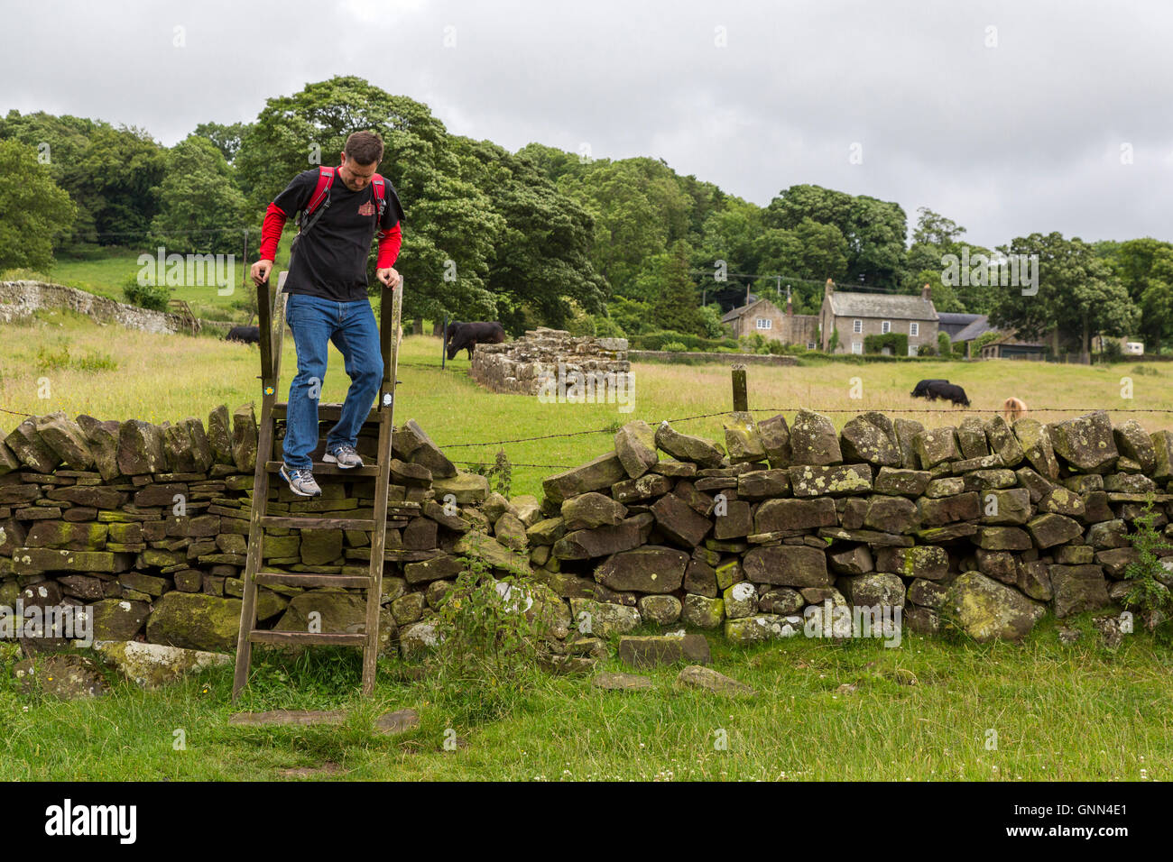 Ladder over fence hi-res stock photography and images - Alamy