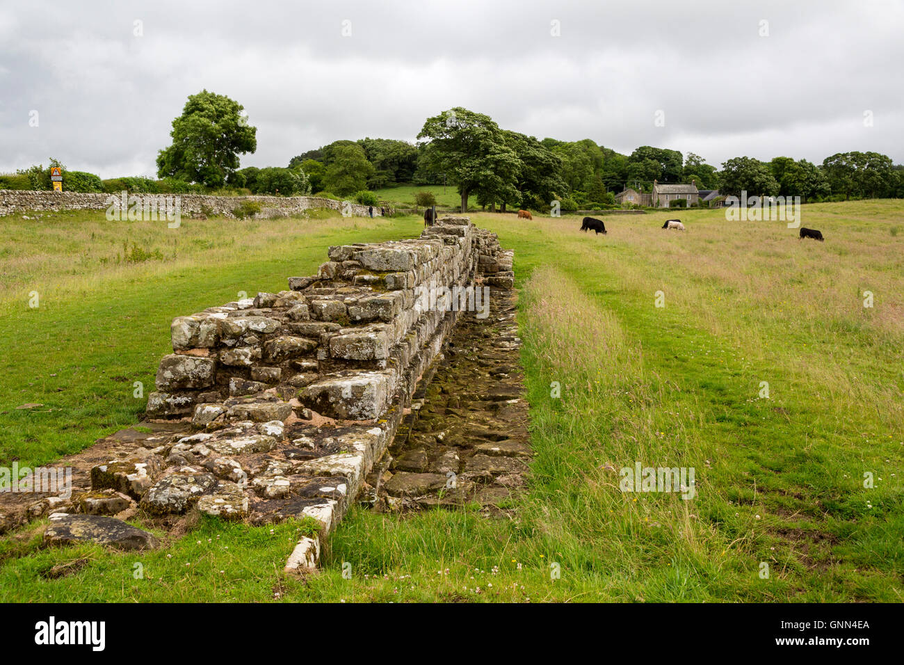 Narrow wide hi-res stock photography and images - Alamy