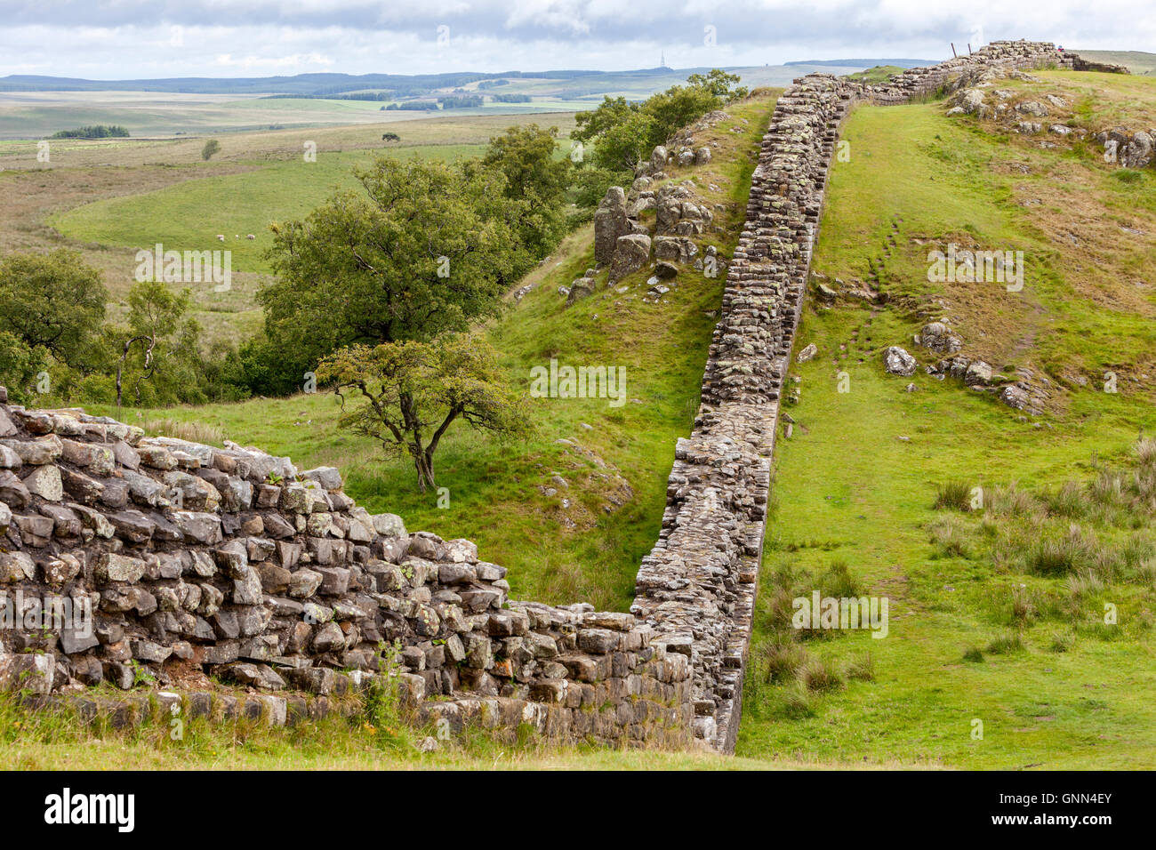 UK, England. Hadrian's Wall between Gilsland and Steel Rigg ...