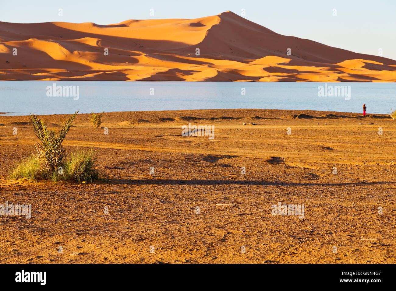 sunshine in the desert of morocco sand and lake dune Stock Photo - Alamy