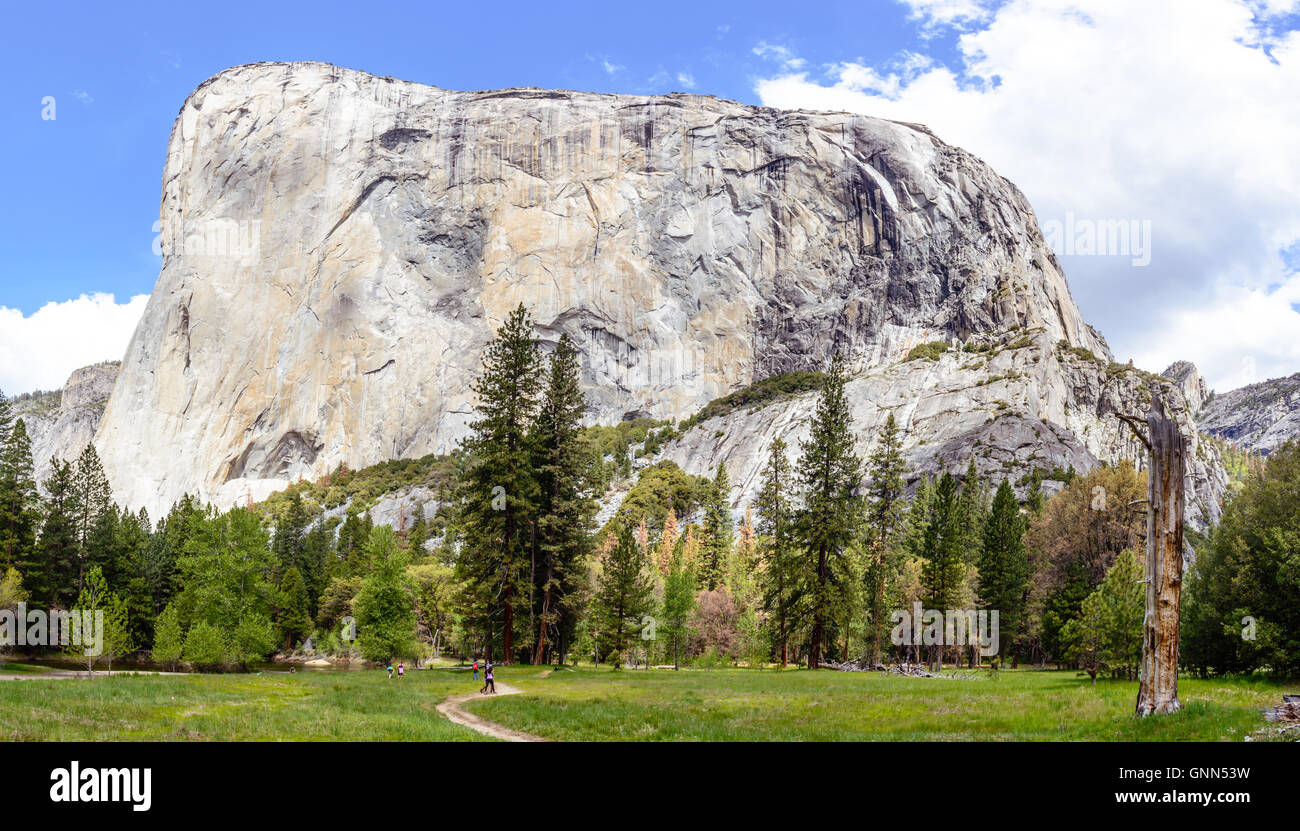 Full Panorama View of EL Capitan at Yosemite, with Green grass and ...