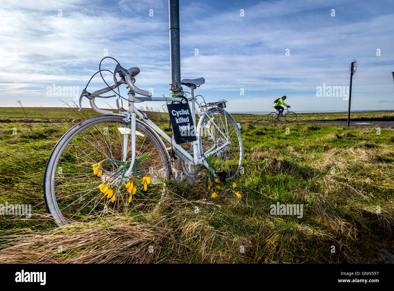 A ghost bike, denoting the spot where a cyclist was killed by a motor ...