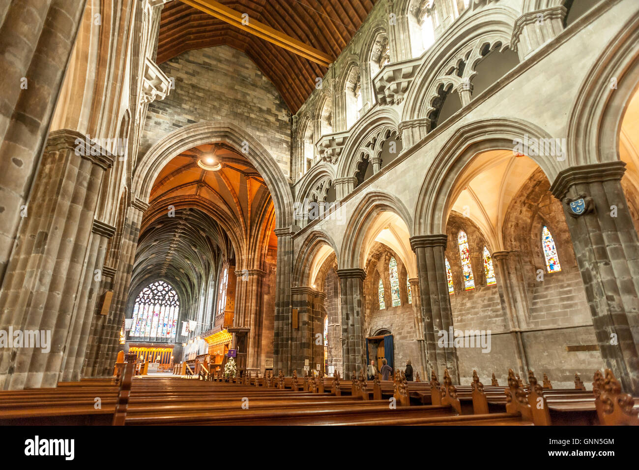 Paisley abbey scotland hi-res stock photography and images - Alamy