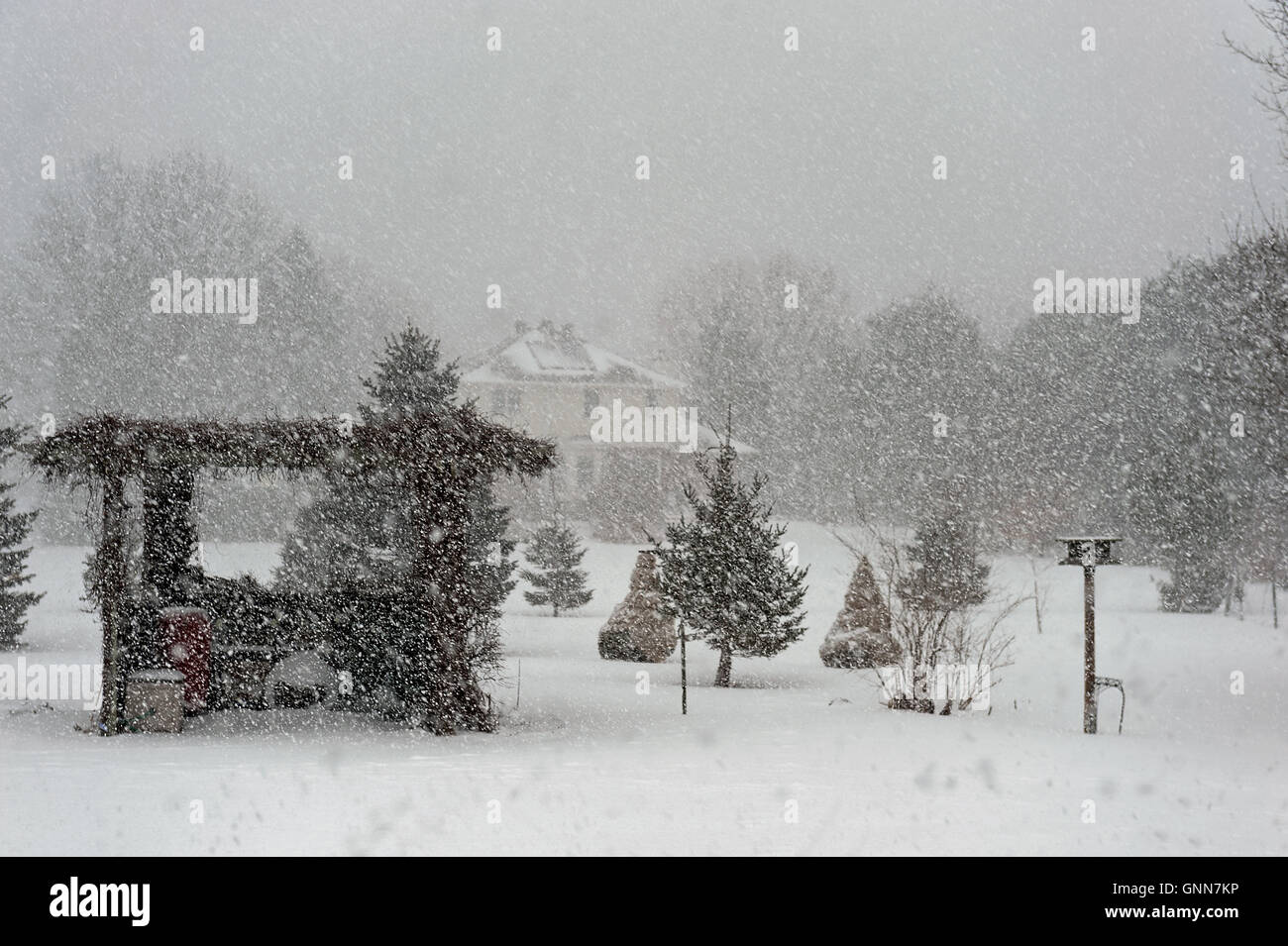 Backyard in winter snow storm Stock Photo - Alamy