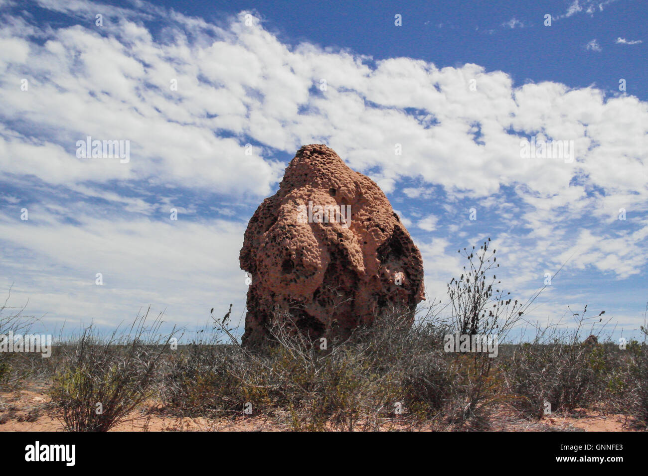 Termite mound at Cape Range National Park in Western Australia ...