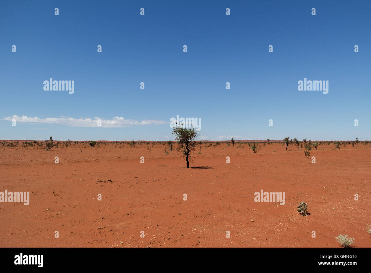 Red desert in Central Australia - Australia Stock Photo - Alamy