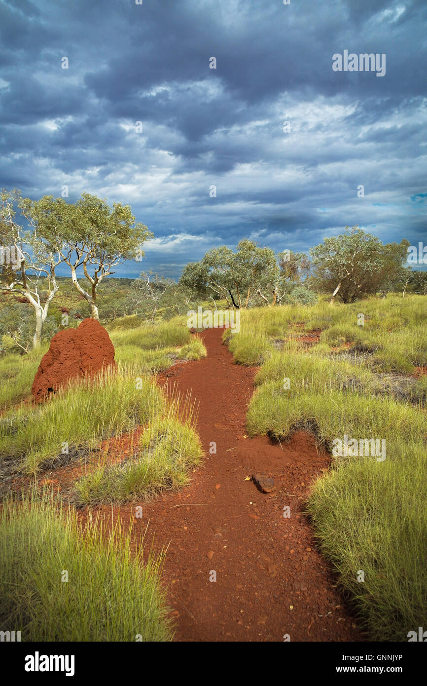 Outback pathway hi-res stock photography and images - Alamy