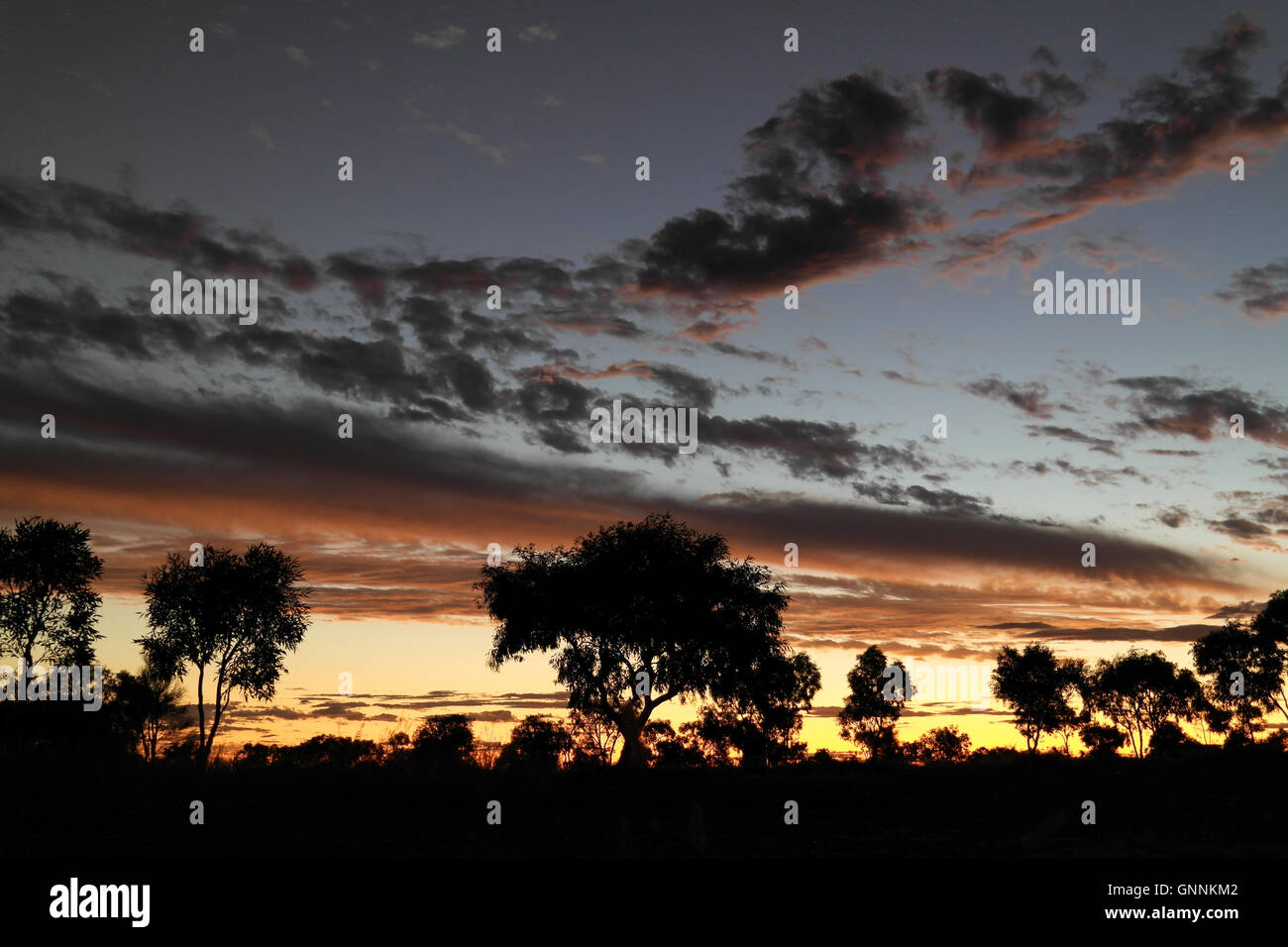 Tree Silhouette In Australian Outback High Resolution Stock Photography ...