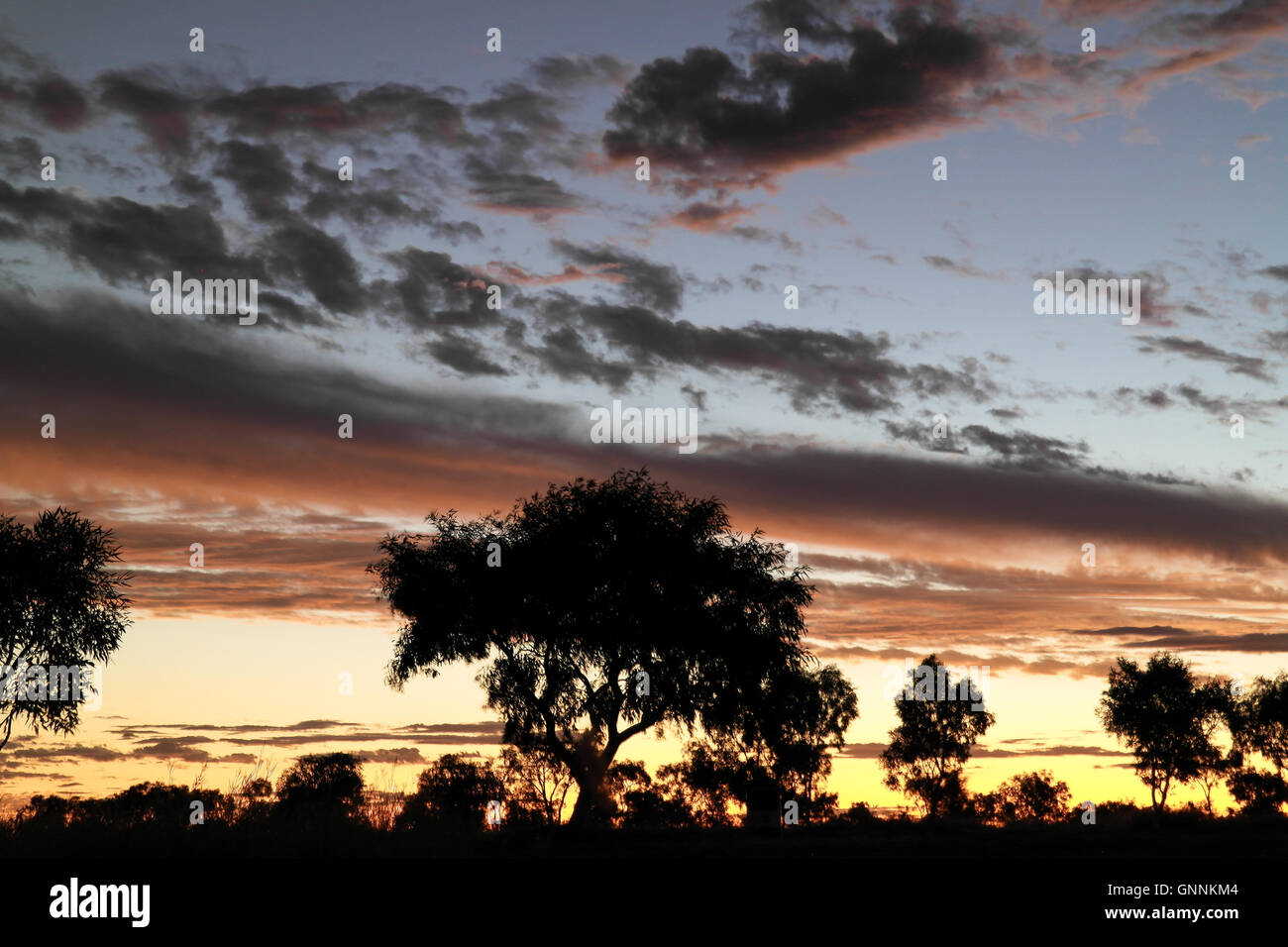 Australian Outback Night Stock Photos & Australian Outback Night Stock ...