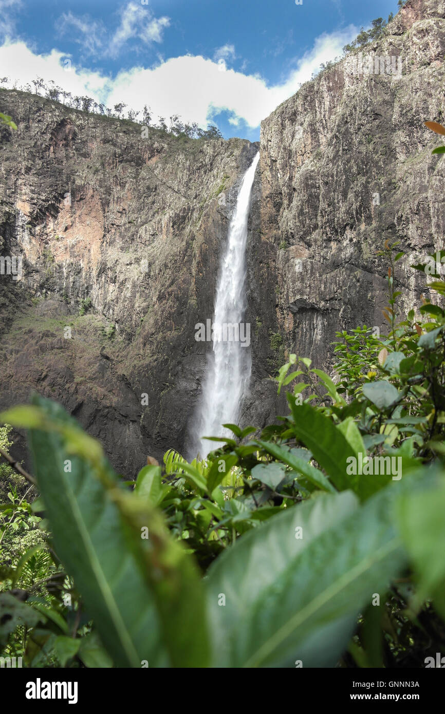 Girringun national park hi-res stock photography and images - Alamy