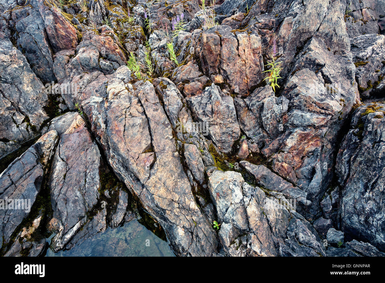 Images Of Rough Objects