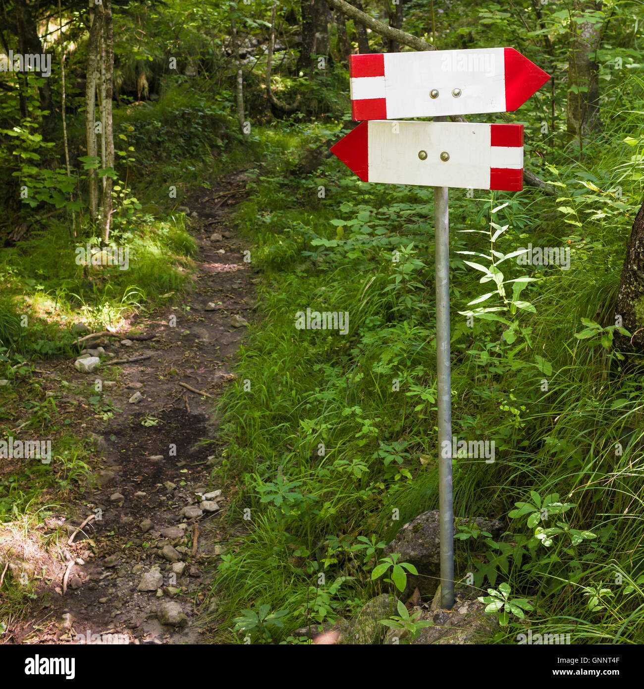 Close up of an isolated signboard along a trekking path. Direction ...