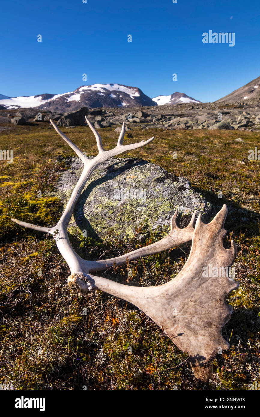 Antler peak hi-res stock photography and images - Alamy