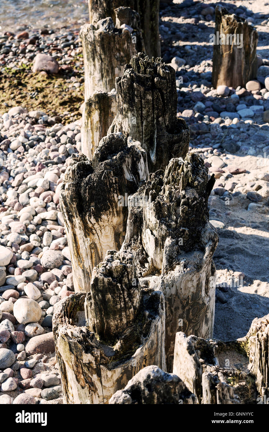 Rotten wooden poles hi-res stock photography and images - Alamy