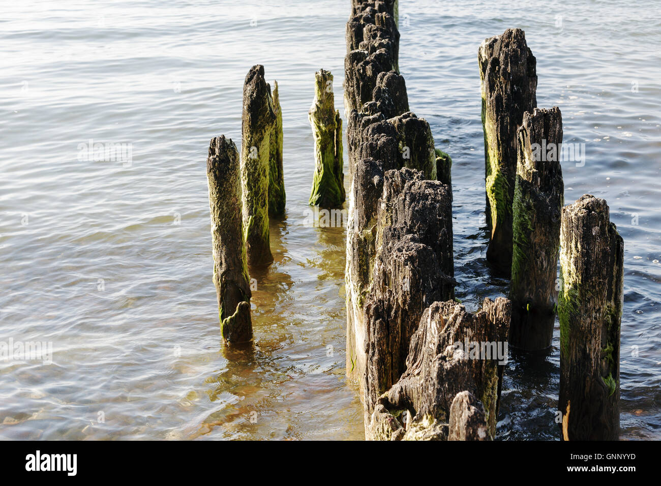 Partially rotted hi-res stock photography and images - Alamy