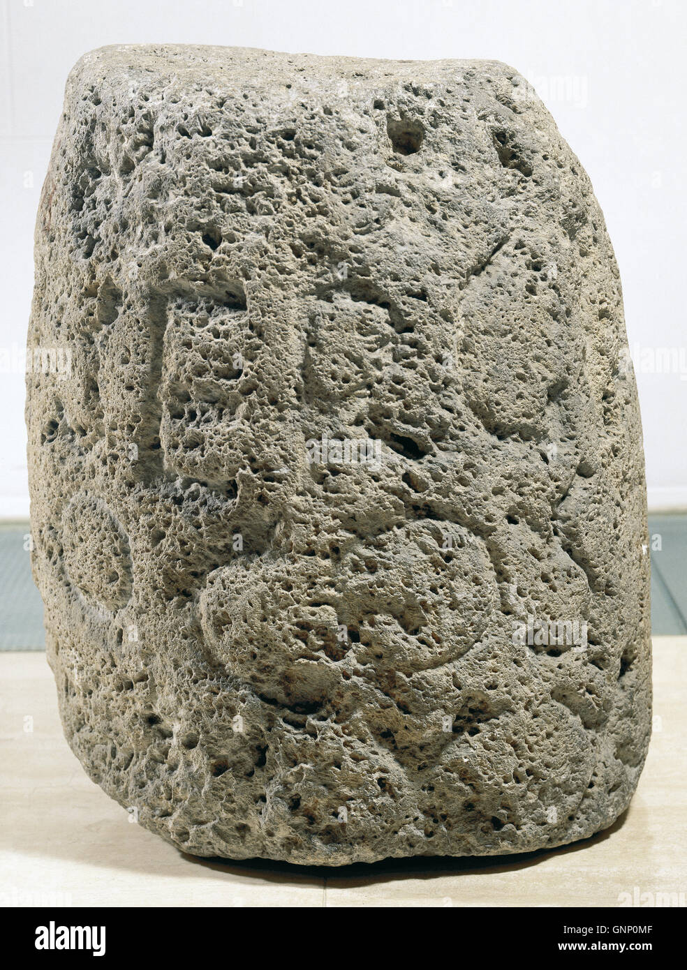 Proconsul High Resolution Stock Photography and Images - Alamy