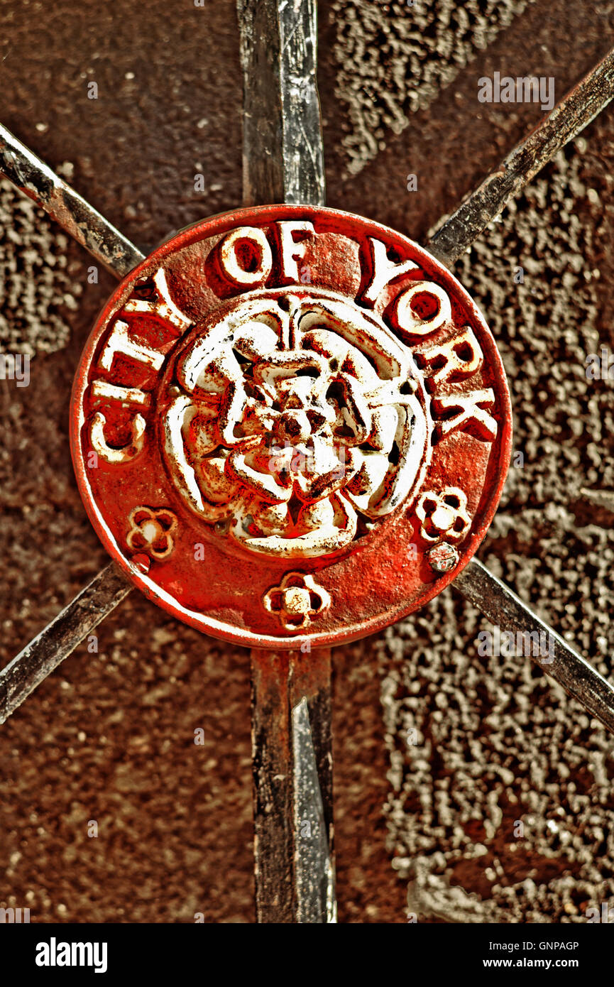 City of York Emblem with White Rose Stock Photo - Alamy