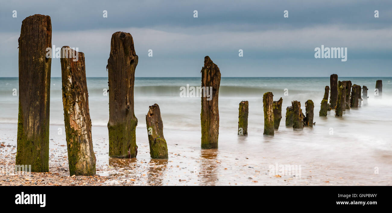 The groynes photographed at Sandsend, a small coastal village north of ...