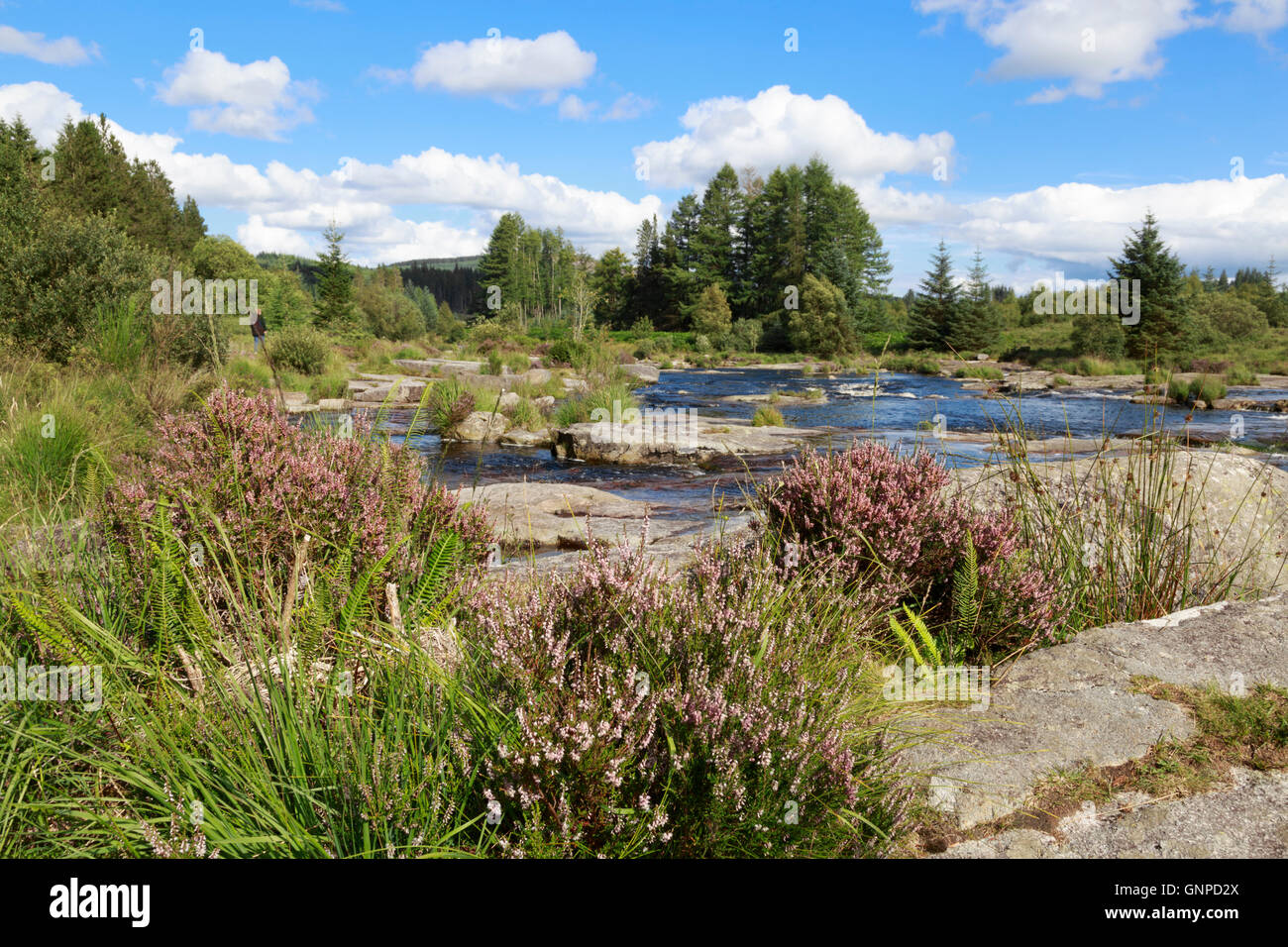 The Otter Pool on the River Dee (or Black Water of Dee) beside the ...