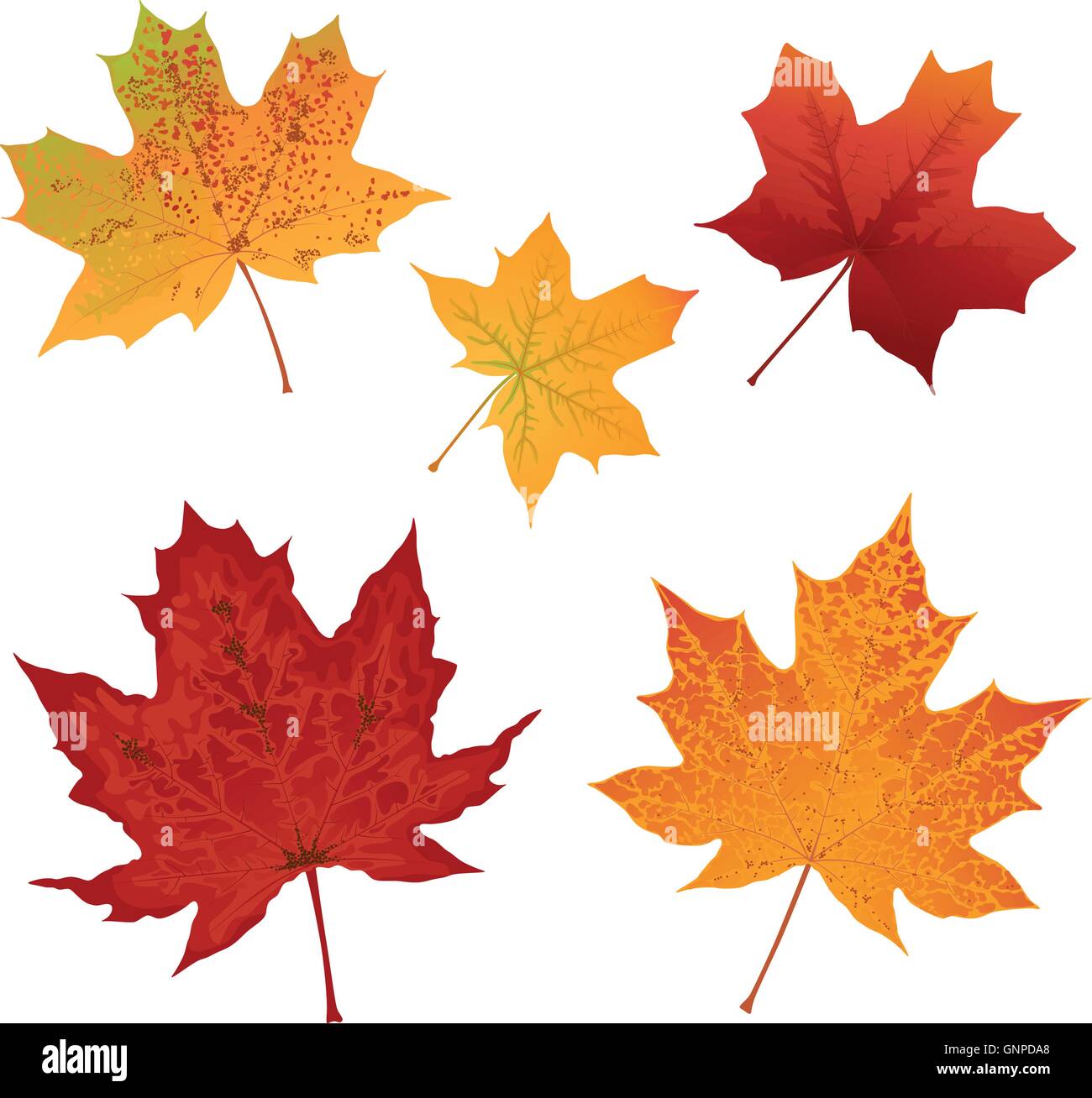 Varicoloured vector vectors hi-res stock photography and images - Alamy