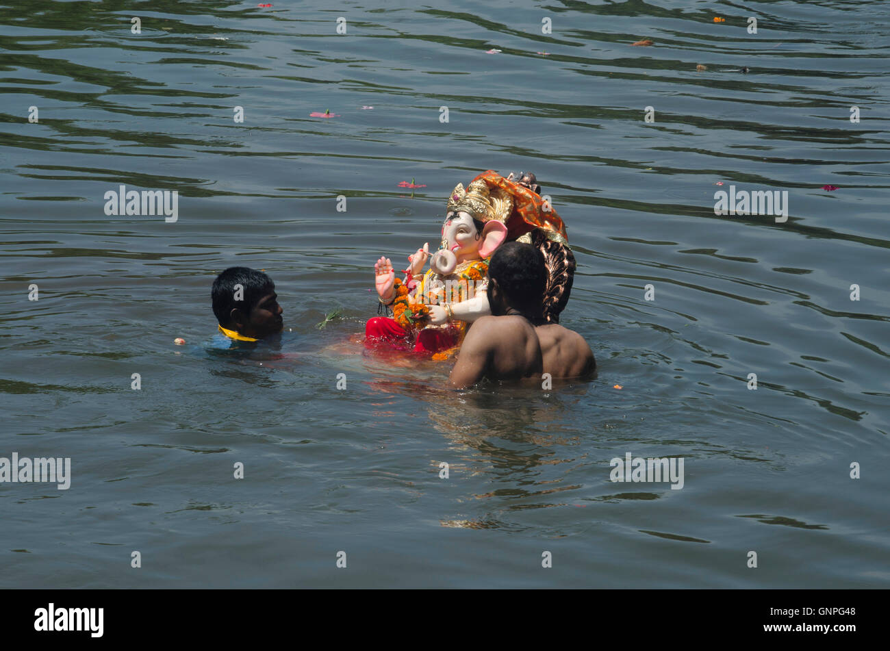 Lord ganesh immersion hi-res stock photography and images - Alamy
